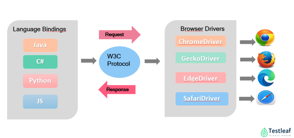 Real Life Scenario Based Top 20 Selenium Interview Questions